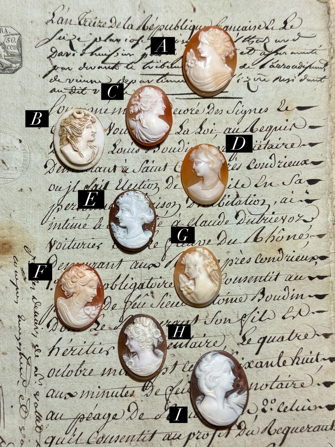 Carved Italian Shell Cameos Circa 1800s - C – Monahan Papers