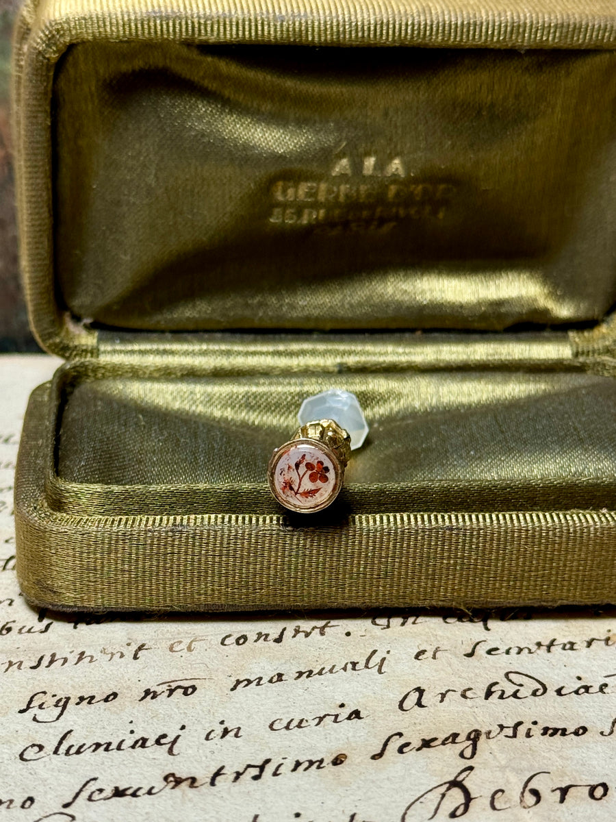 Early Victorian "Forget Me Not" Flower Circa 1850 – Monahan Papers