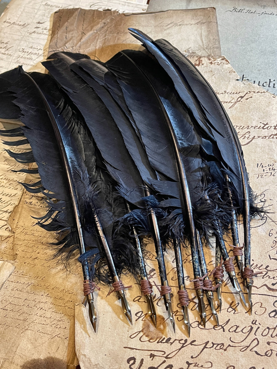 Long Black Turkey Tail Quill With Antique Nib – Monahan Papers