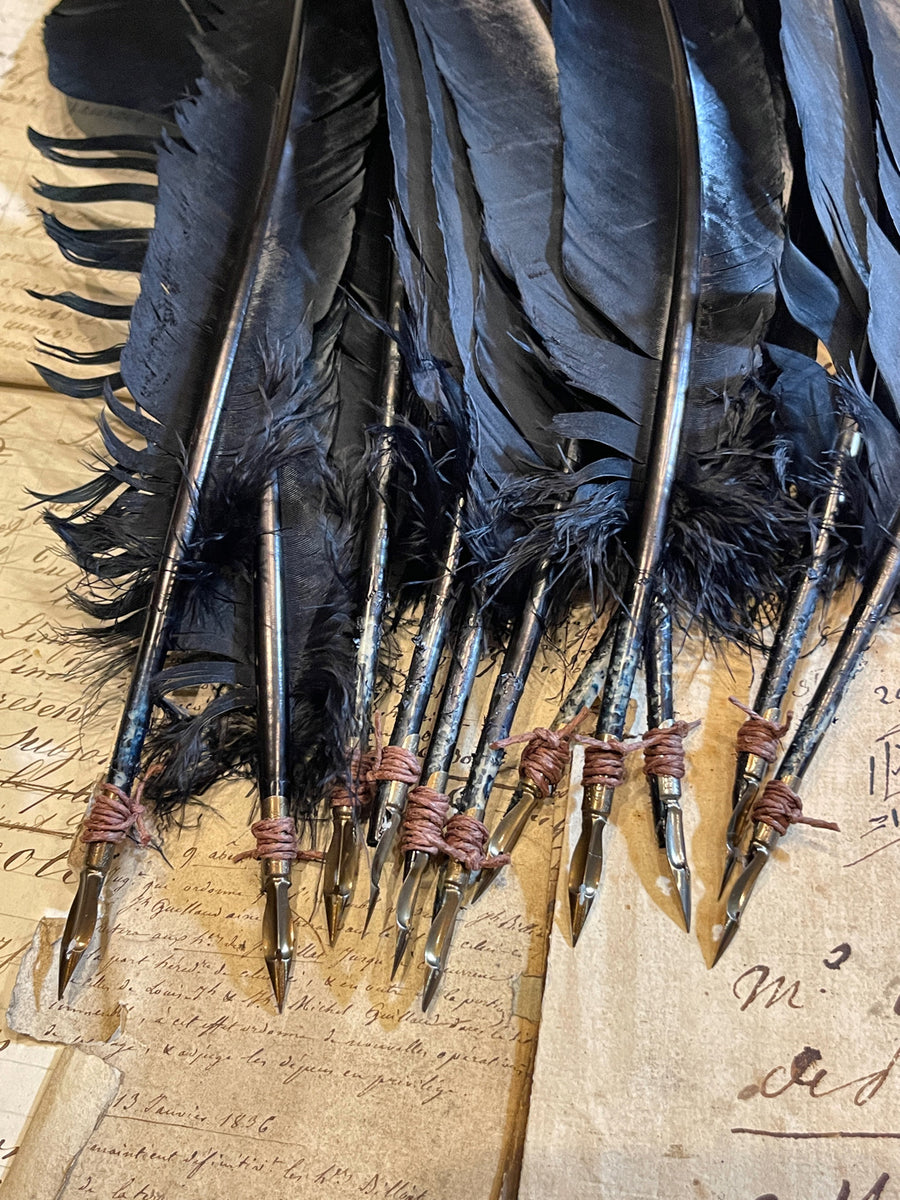 Long Black Turkey Tail Quill With Antique Nib – Monahan Papers