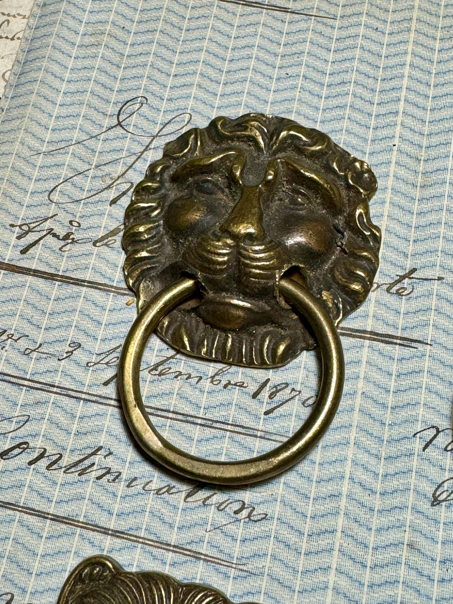Antique French 19th Century Lion Drawer Pulls – Monahan Papers
