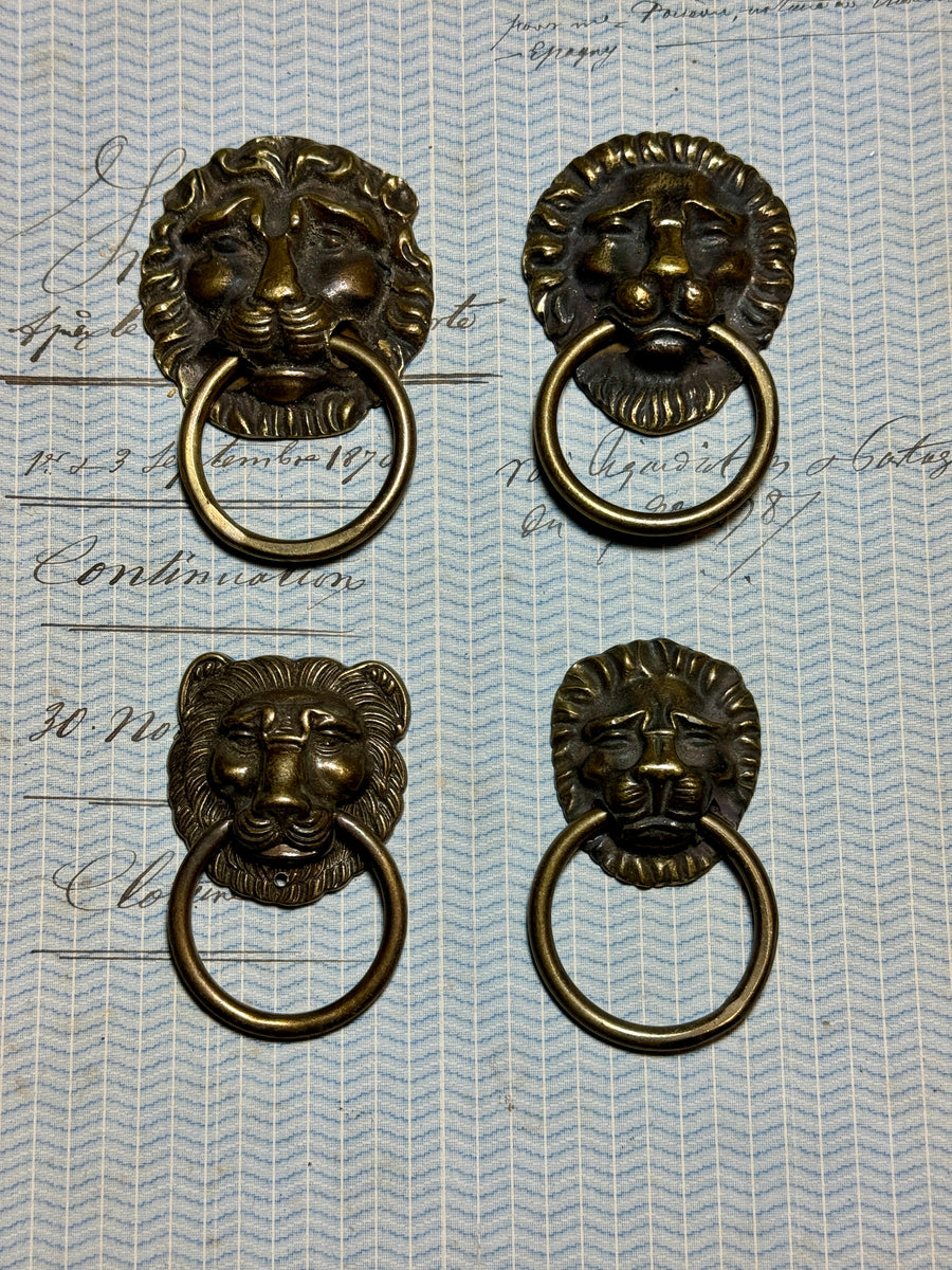 Antique French 19th Century Lion Drawer Pulls – Monahan Papers