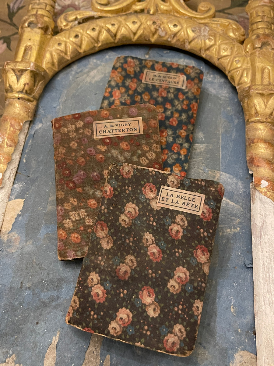 Antique French Ephemera – Monahan Papers