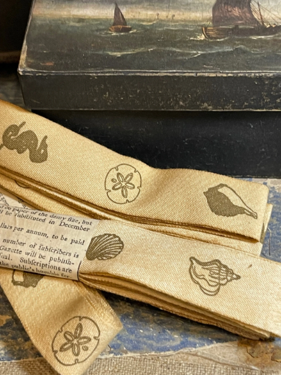 Nautical Shells and Seahorses Ribbon – Monahan Papers